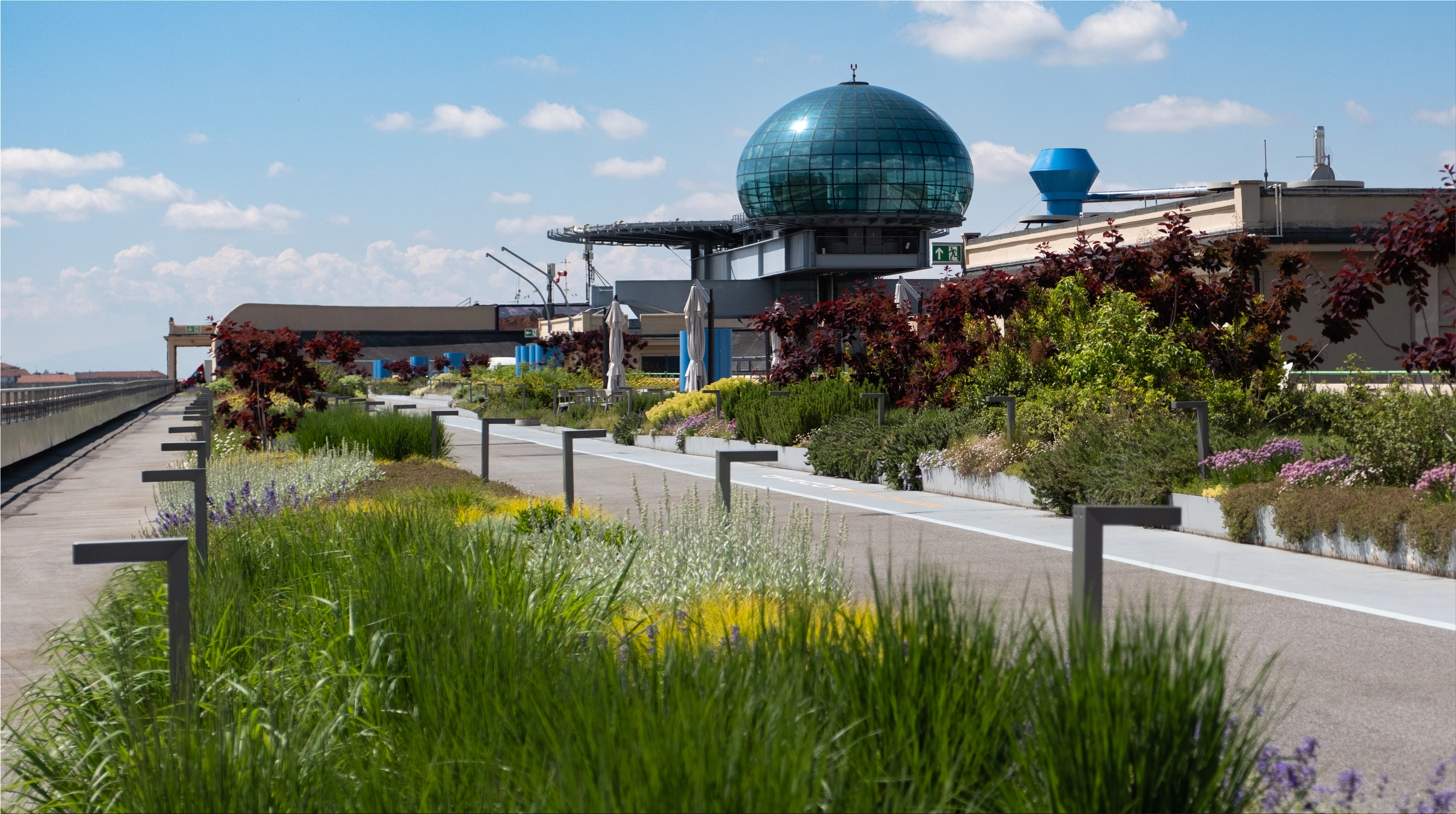 How Fiat's Lingotto Factory Inspired a Century of Car Design | Car Division